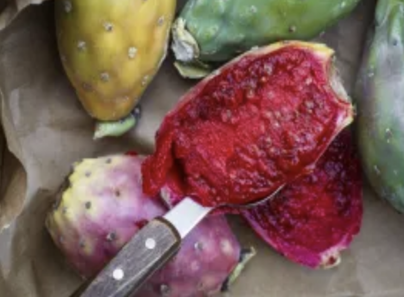 Fruto da Palma Forrageira: Sustentabilidade e Benefícios à Saúde ...